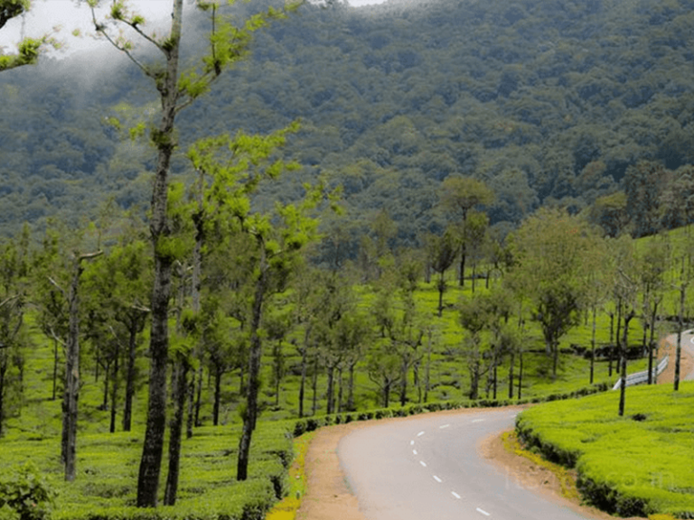 Saraswathy Tours and Travels Pollachi | Travel Agency Coimbatore ...